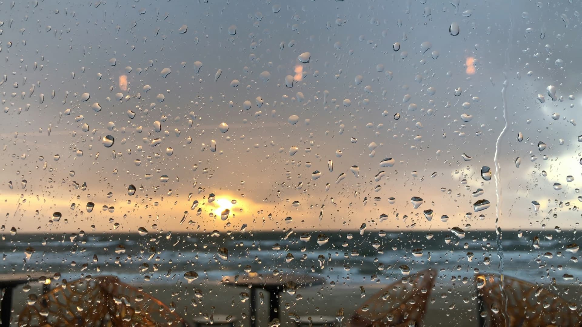 Rainy Day Scents: Fragrances That Match Moody Weather | DefineMe Blog